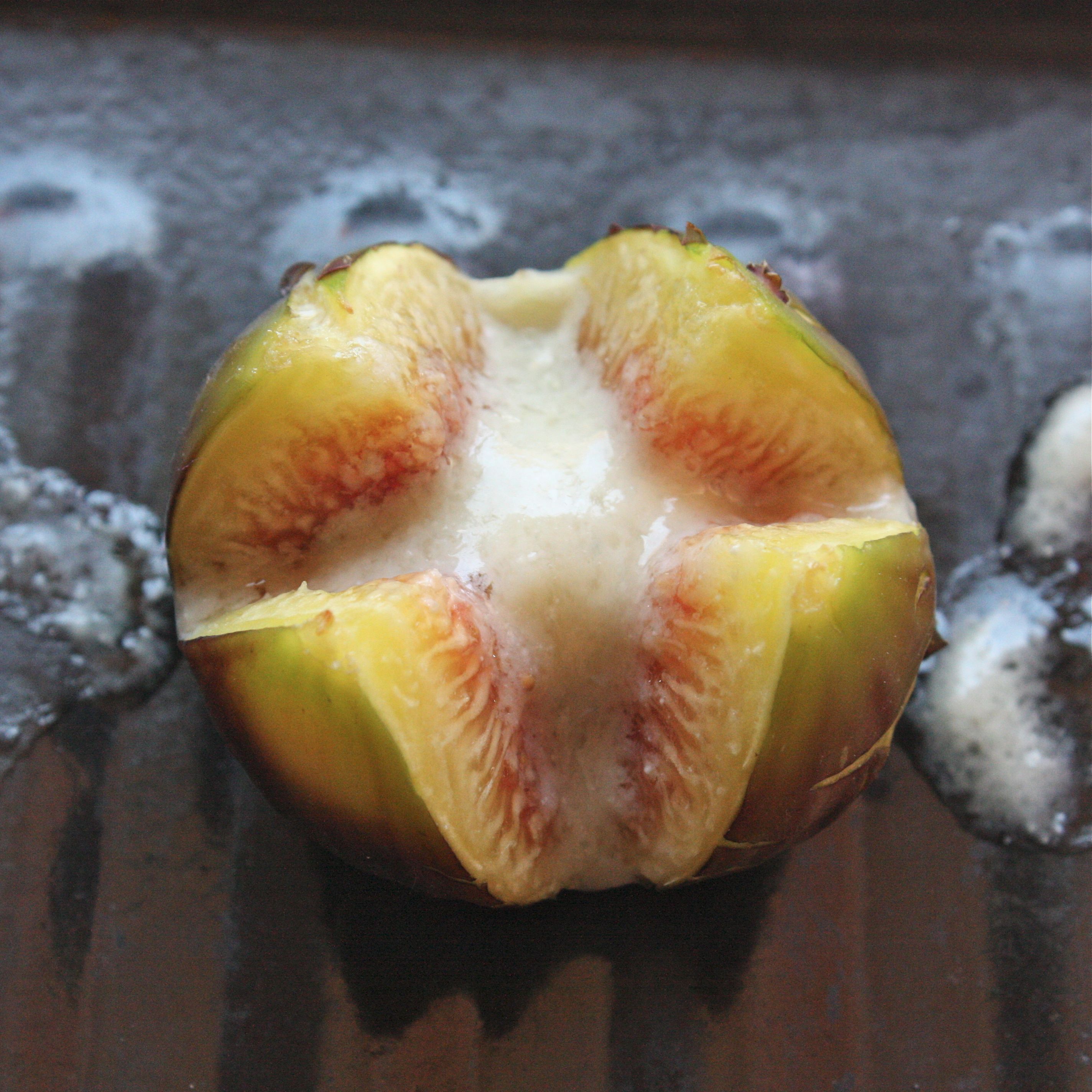 Recipe: Blue Cheese Stuffed Figs – Engaging Cultures Travel